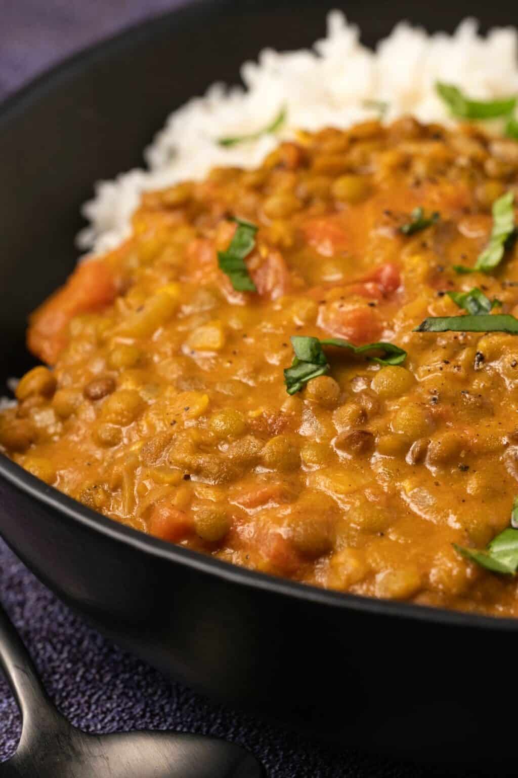 Easy Lentil Curry - Gimme That Flavor
